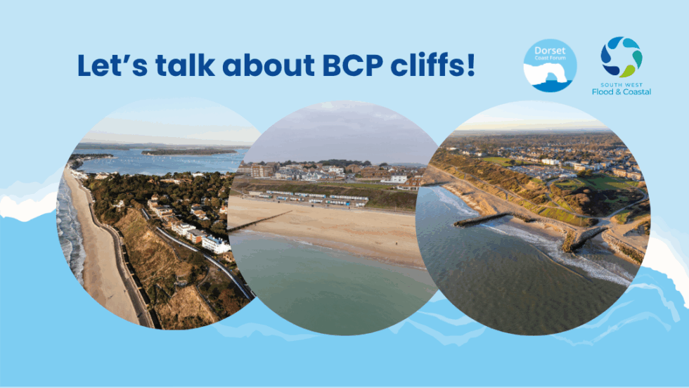 Let’s talk about cliffs | Dorset Coast Forum
